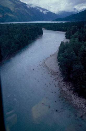 The Lower Dean River Lodge Gallery