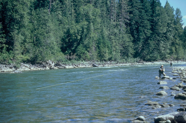 The Lower Dean River Lodge Gallery